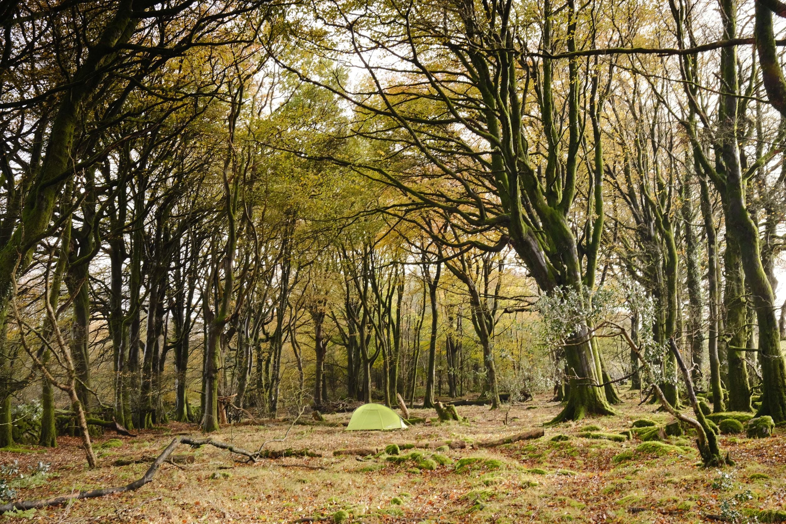 Into the Wild: Embracing Adventure with CampWild – FINDRA Clothing